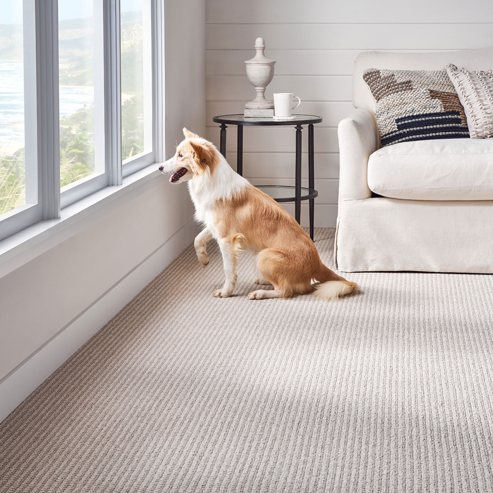 Carpet | Flooring Installation | Chantilly VA | Custom Floor & Design