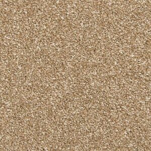 Carpet | Flooring Installation | Chantilly VA | Custom Floor & Design